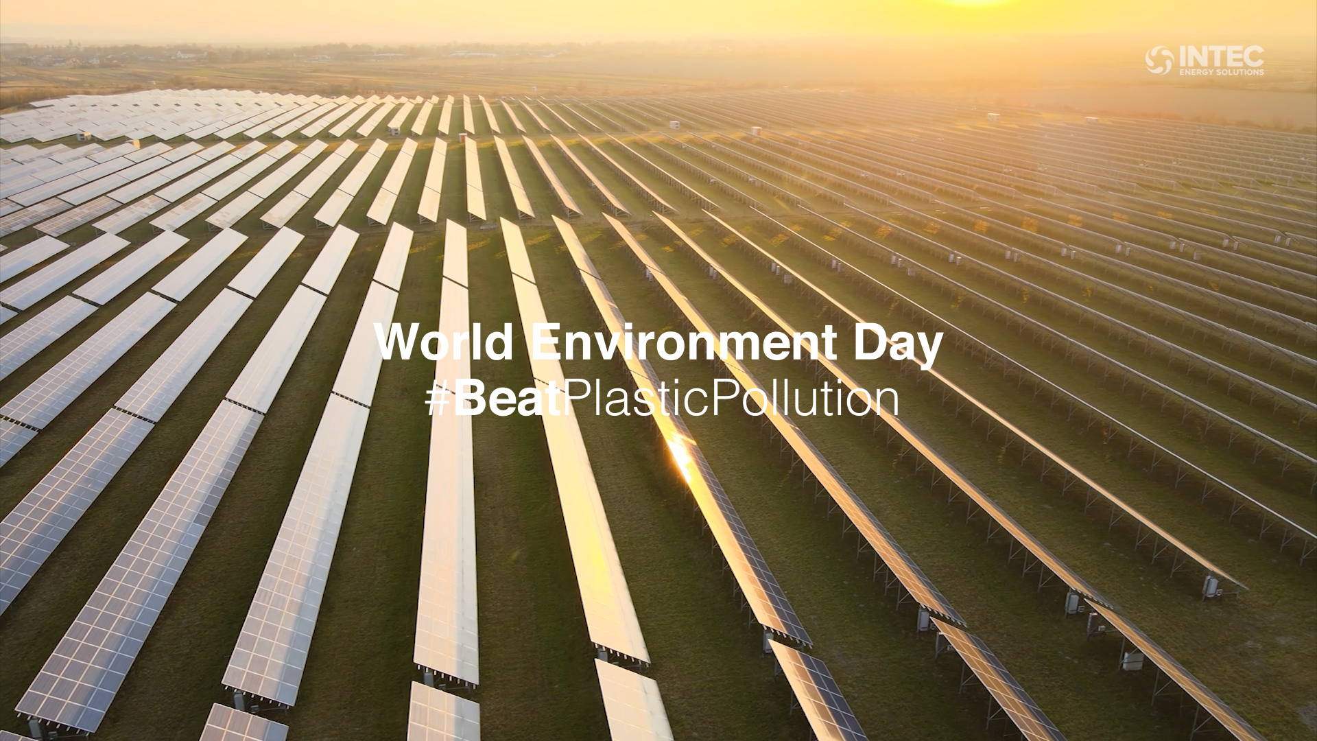World Environment Day 2025: Engineering a Sustainable Future